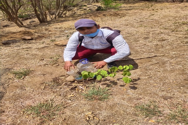 Image Gallery - RAYAT PRATISHTHAN